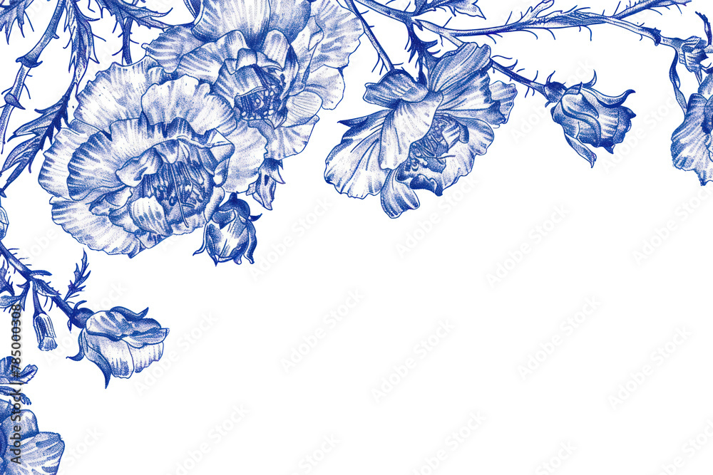 PNG Vintage drawing carnation border sketch illustrated graphics Stock ...