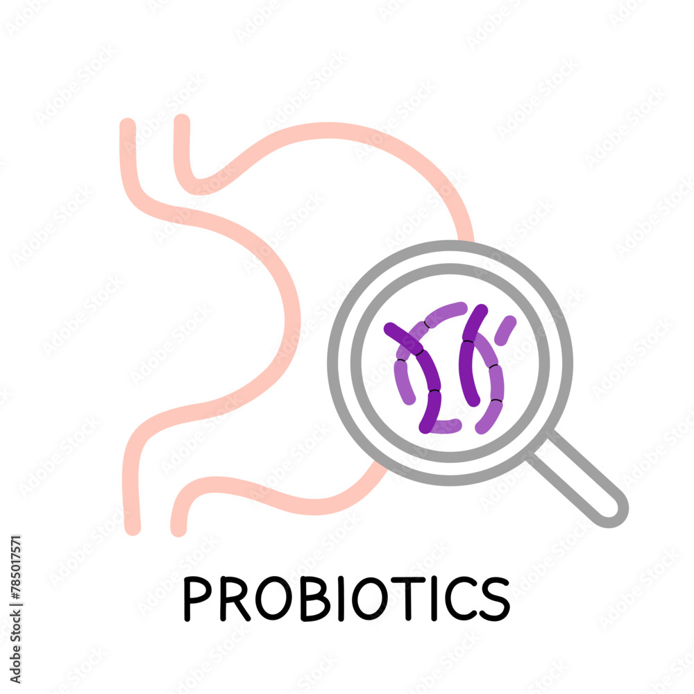 Stomach and Probiotics. Different colorful microbiome and microbiota ...