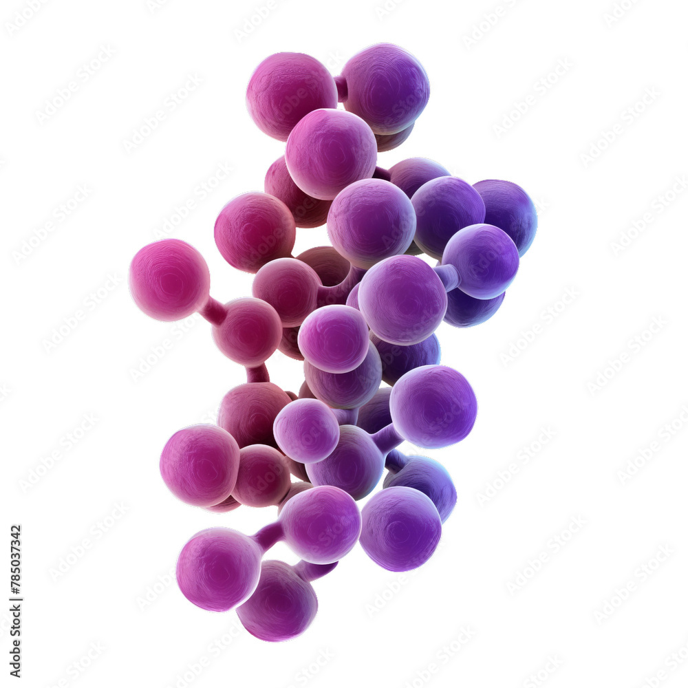 pneumococcus the bacterium is isolated on a transparent background ...