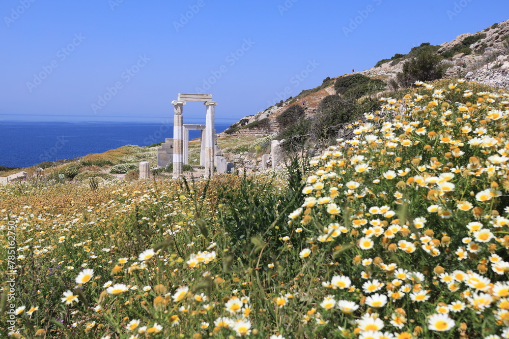 Knidos or Cnidus was a Greek city in ancient Caria and part of the ...