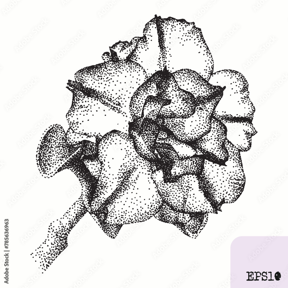 Azalea flower. Spring plant. Graphic ink drawing, pointillism technique ...