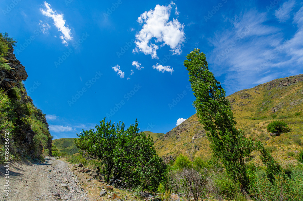 Foto de Off-road adventure through rough terrain. Explore the natural ...