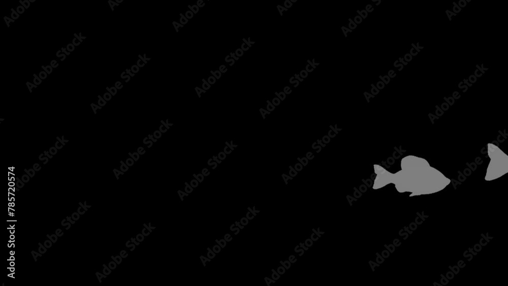 a group of animated fish swims. Fish for background. animation with ...