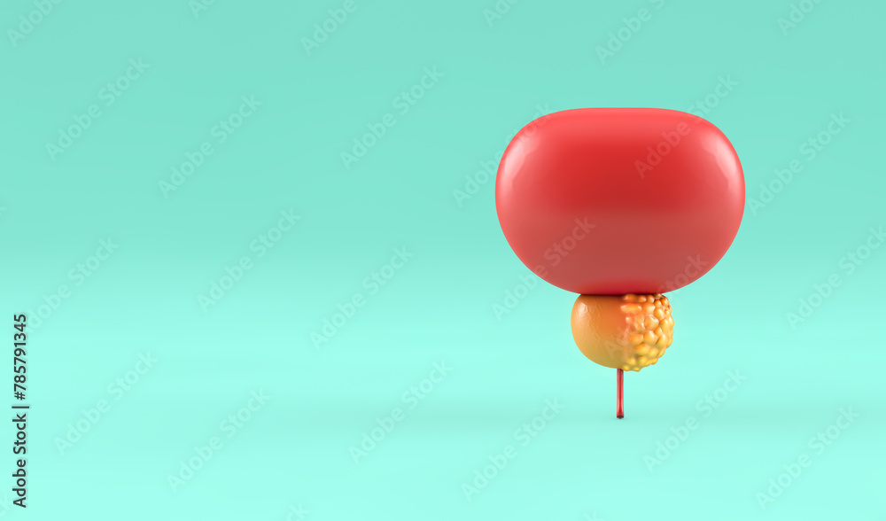 Concept of periodic checkup to detect prostate cancer. The area of the ...