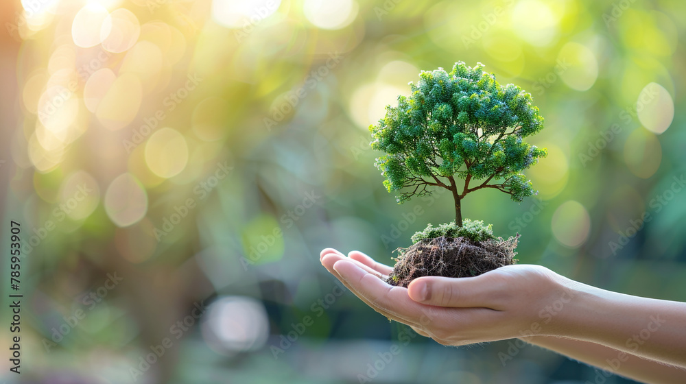 human hand holding green environmental tree ESG icon Society and ...