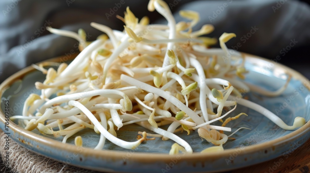 Bean sprouts displayed on a ceramic plate Bean sprouts are early stage ...