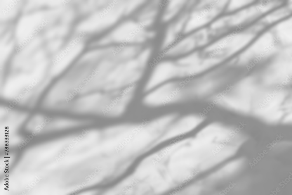 Tree shadow png overlay effect, transparent background Stock Photo ...
