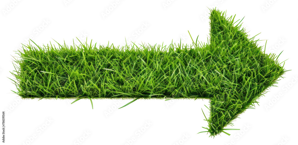 PNG Arrow shape lawn grass football soccer Stock Photo | Adobe Stock