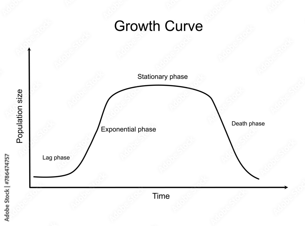 The growth curve of relationship between population size and the growth ...