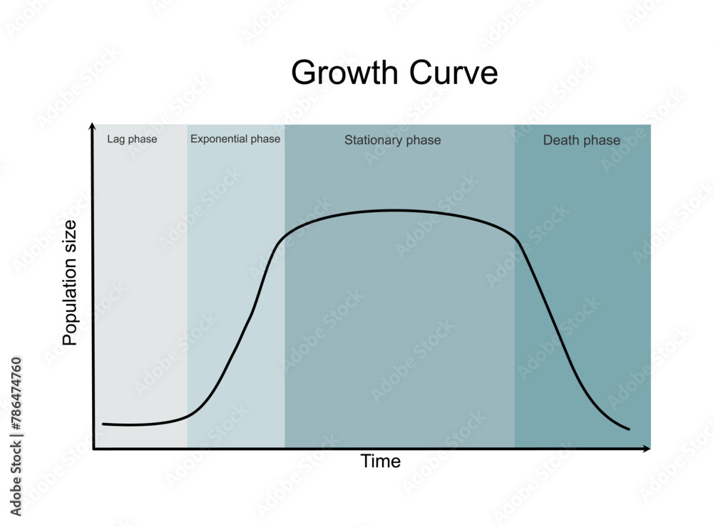 The growth curve: a lag, Exponential or log, stationary and death or ...