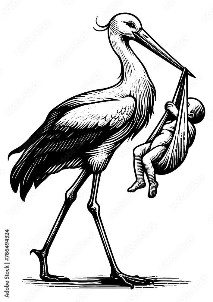 stork carrying a newborn baby, depicting the classic myth of stork ...