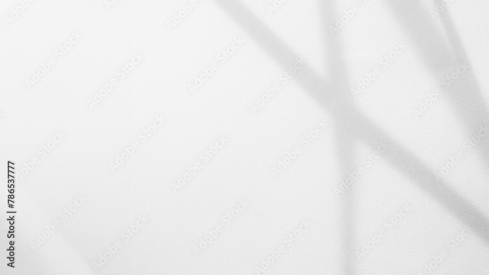 Shadow Background Abstract Leave Overlay Wall Floor Light Effect White ...