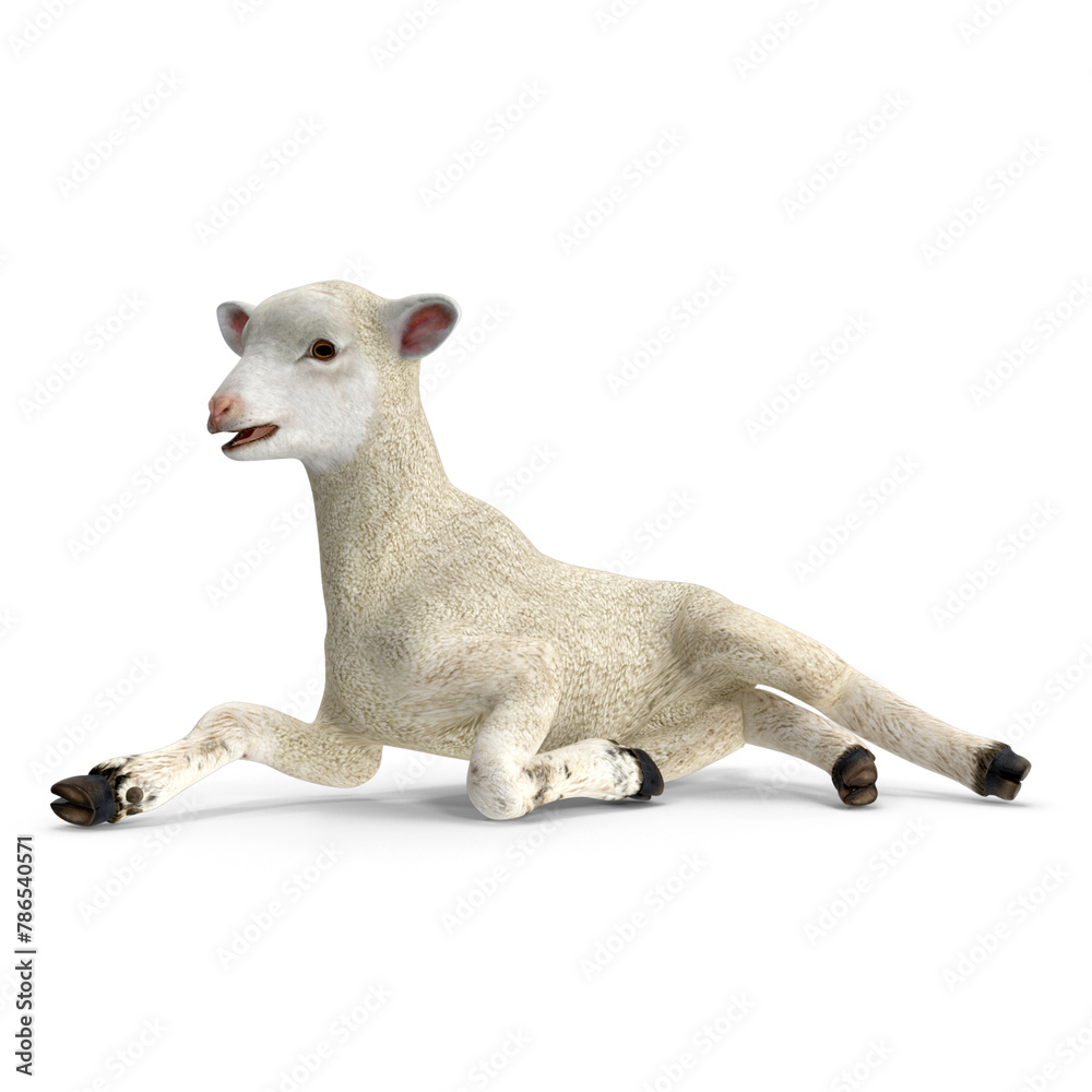 Realistic Lamb Pose 3D Model PNG - Ideal for Veterinary Training and ...