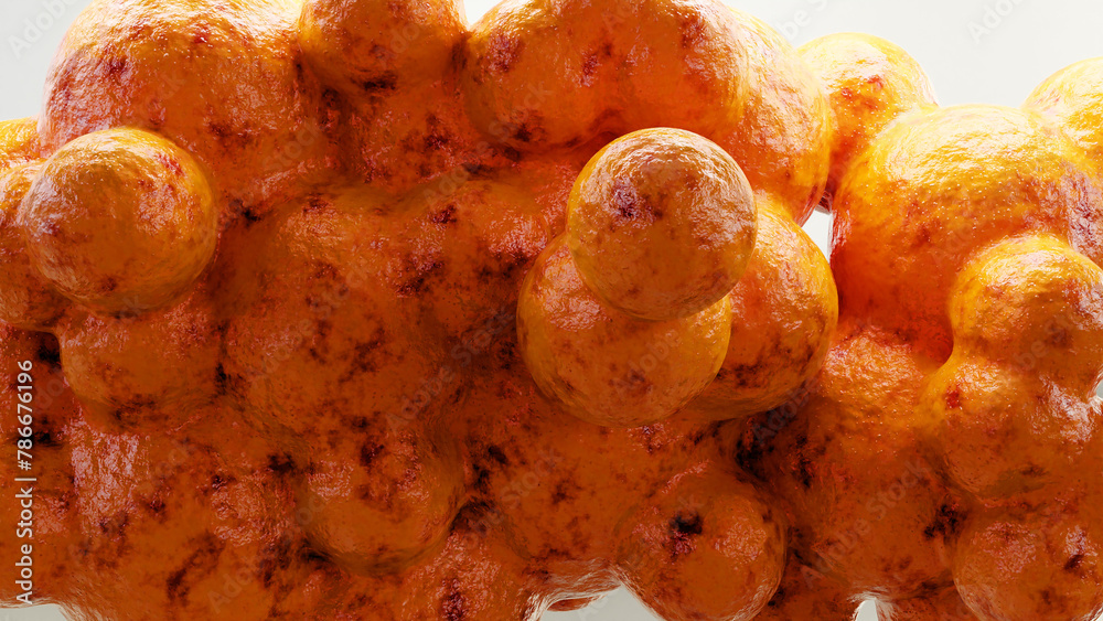 Fat cells, adipocyte and lipocyte, cholesterol in a cells, White fat ...