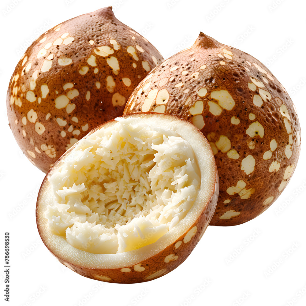 A detailed image of a fresh santol, its brown skin and fluffy white ...