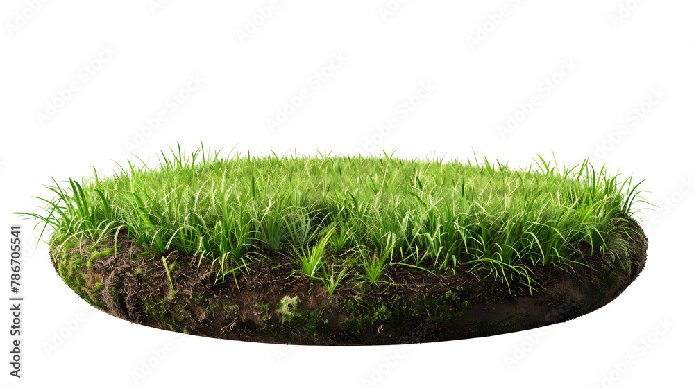 grass green circle land ground floor garden or garden earth soil land ...