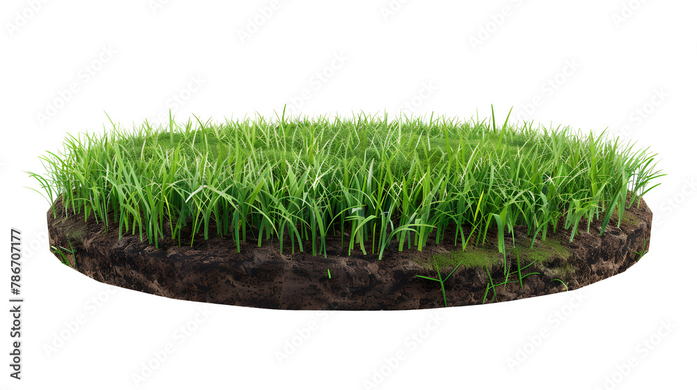 grass green circle land ground floor garden or garden earth soil land ...