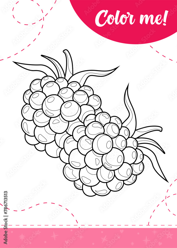 Coloring page for kids with delicious summer raspberries. A printable ...