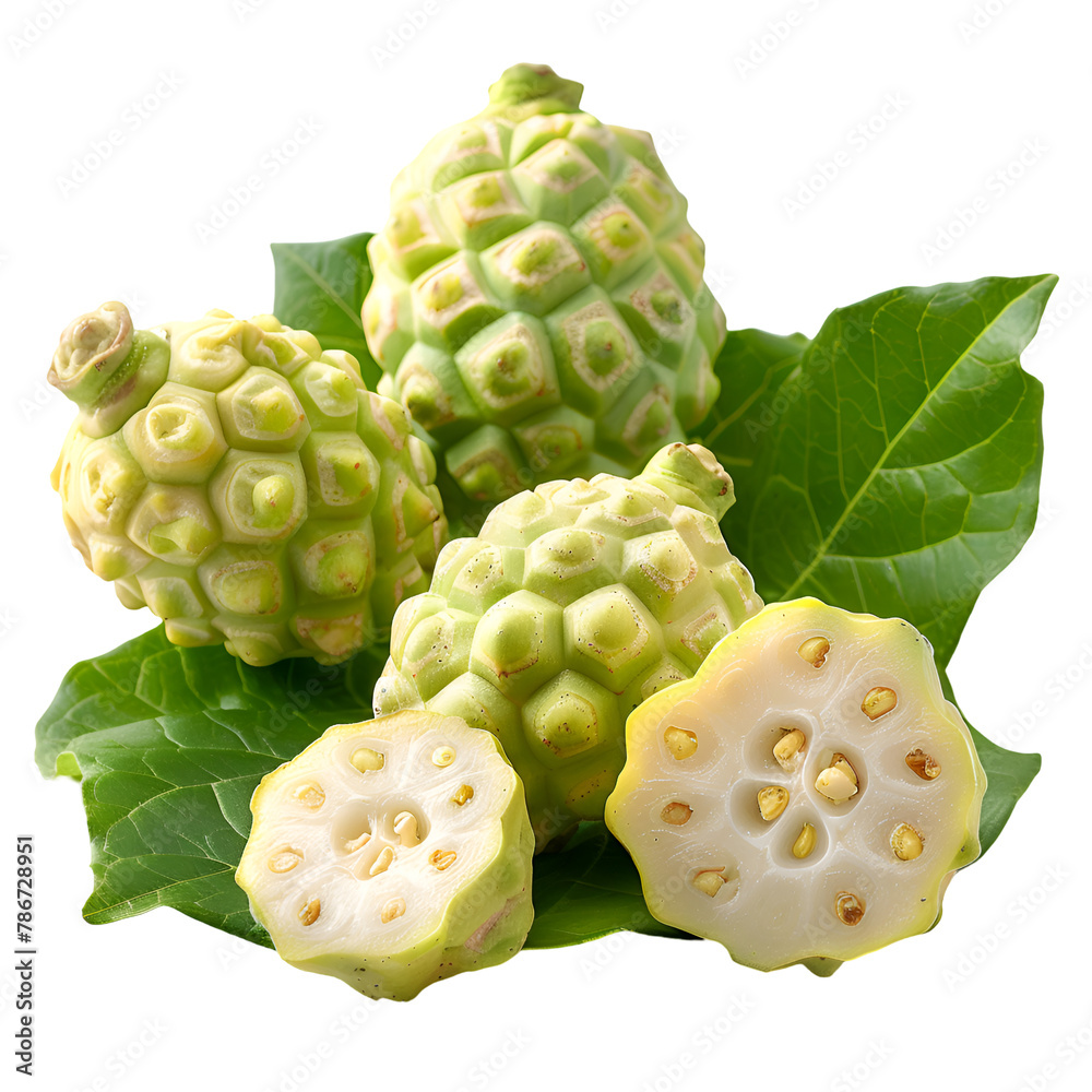 An HD image of a fresh noni fruit, its unusual, granular white skin ...