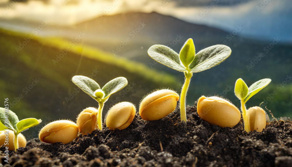 Da semente à vida: A jornada mágica da semente se transforma em um ...