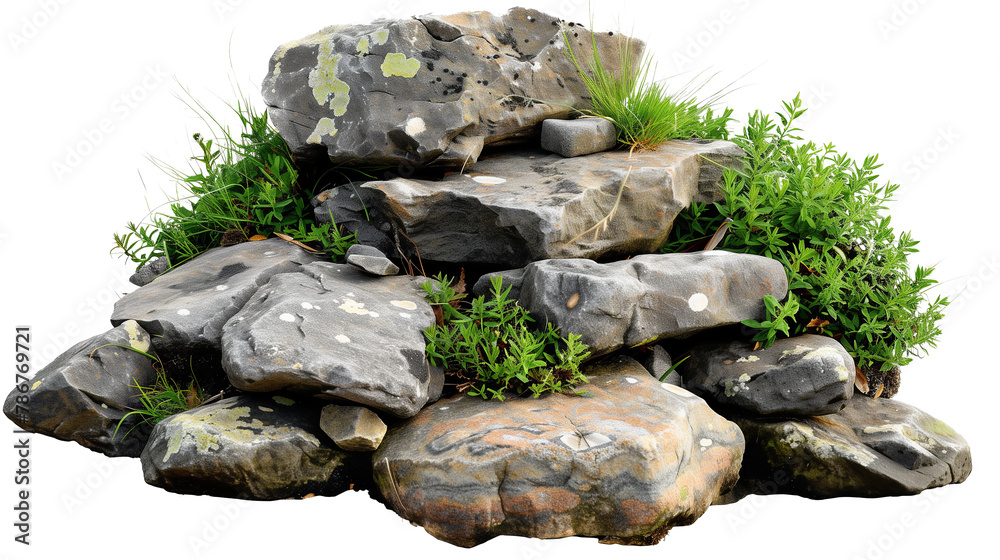 Assorted Isolated Rocks and Plants on Transparent Background - A ...