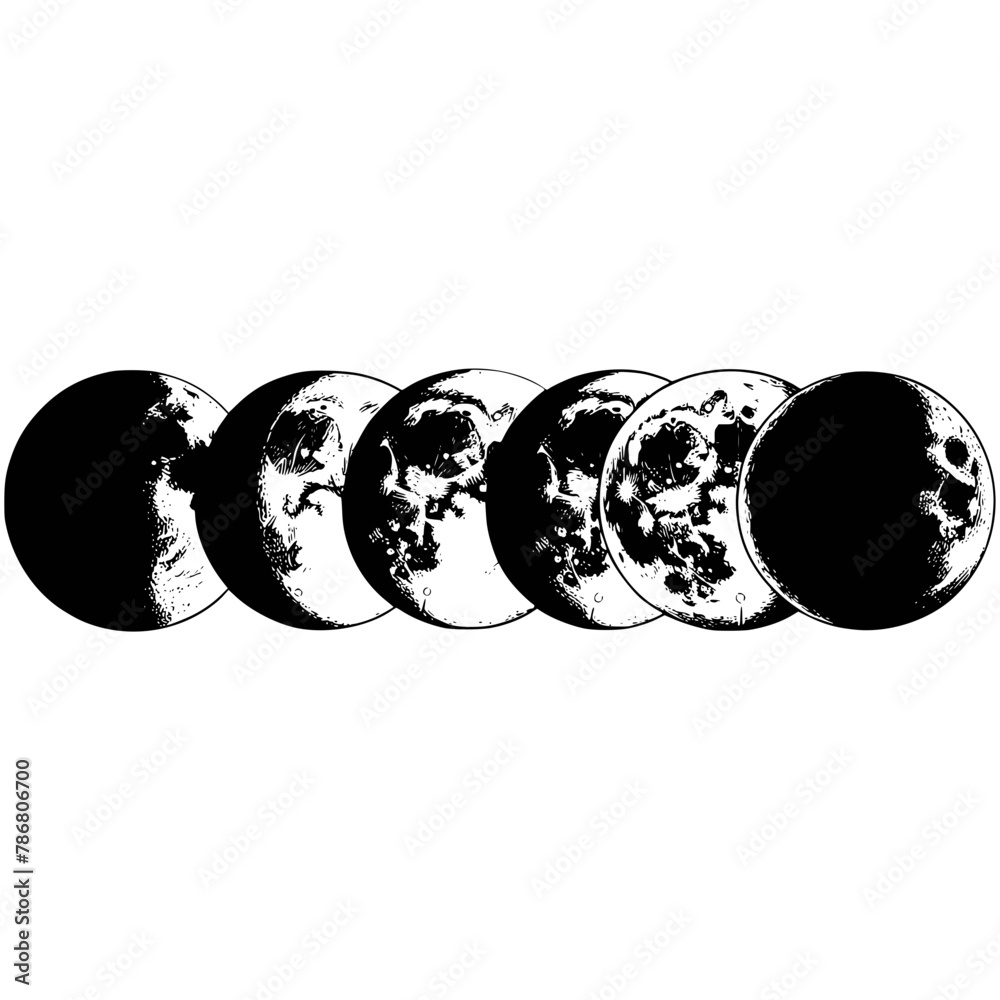 Moon Bundle, Moon Phases, Lunar Phases, Moon Phase, Crescent Moon ...