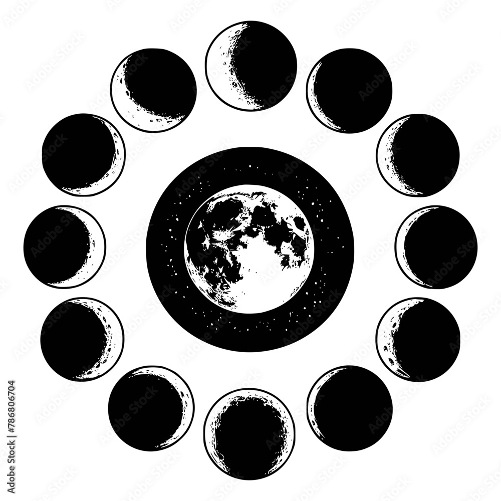 Moon Bundle, Moon Phases, Lunar Phases, Moon Phase, Crescent Moon ...