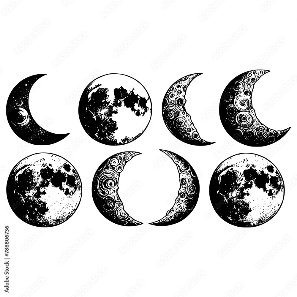 Moon Bundle, Moon Phases, Lunar Phases, Moon Phase, Crescent Moon ...