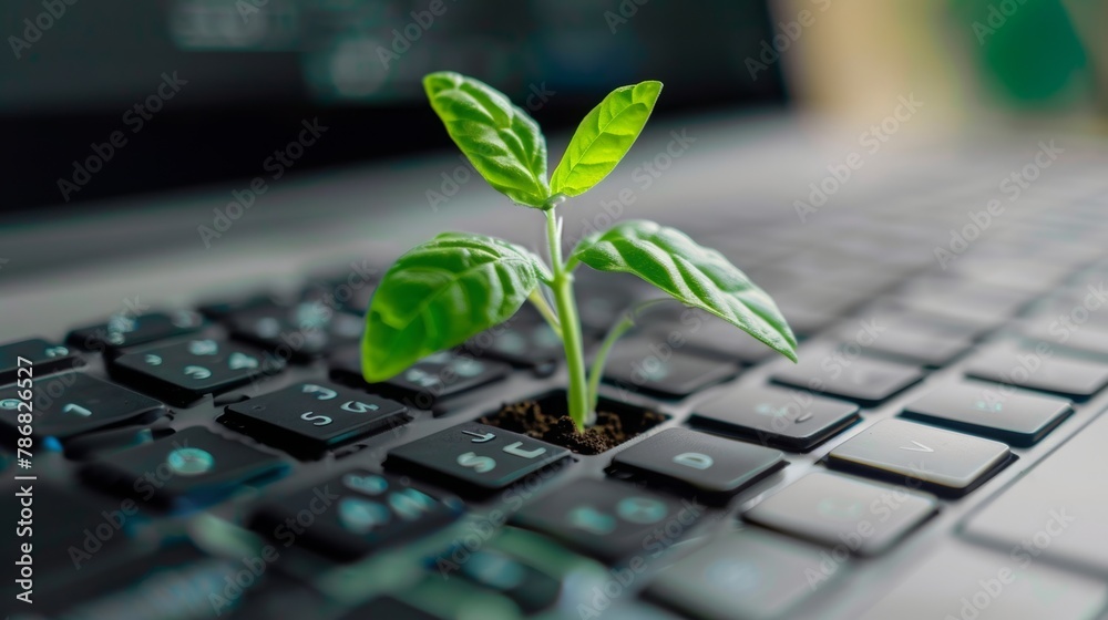 Keyboard from which a small green plant grows, sustainability and ...
