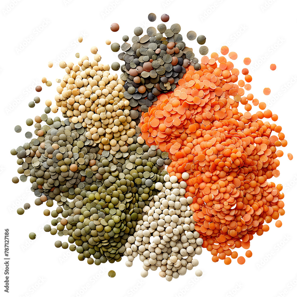 An array of lentil varieties, including green, brown, and red lentils ...