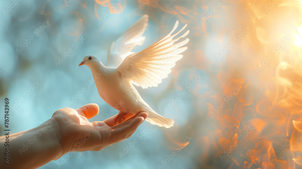 White dove taking off from a human hand. Symbol of peace and hope ...