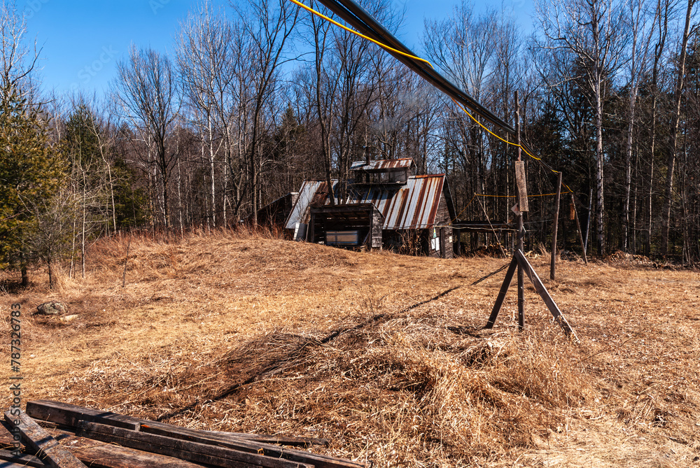 An old sugar shack with a modern pipeline for maple sap leading to it ...