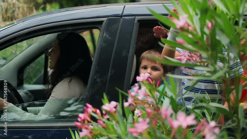 A family drives out from behind an oleander bush in a car. Children ...