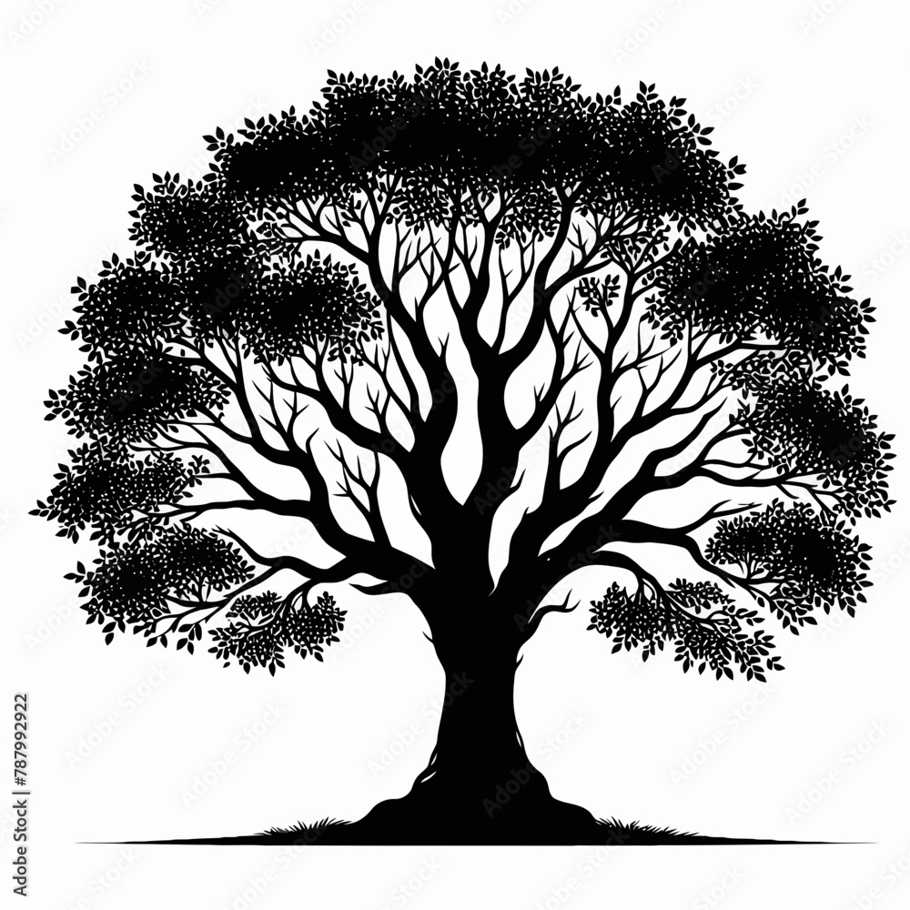 Tree silhouette vector illustration White Background, silhouette tree ...