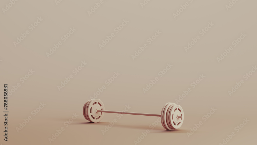 Barbell weight training weight lifting workout equipment neutral ...