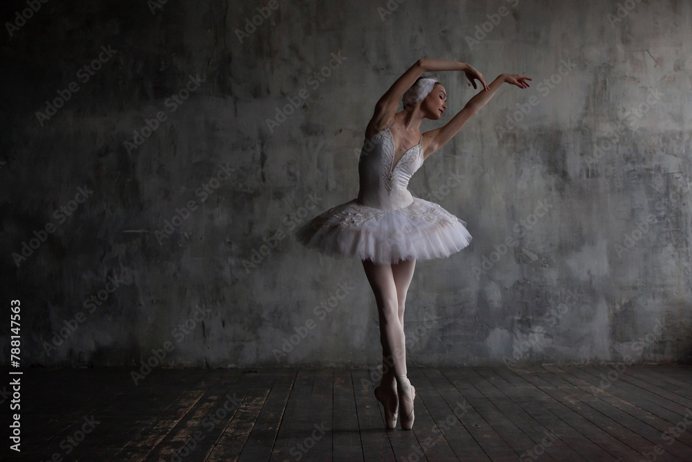 Ballerina in a white ballet costume dances the part of the swan from ...