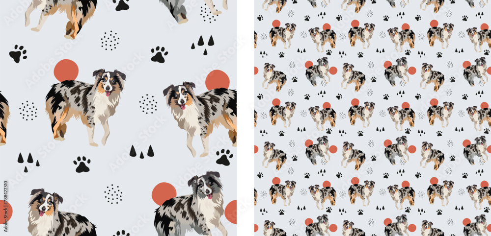 Australian Shepherd dog pattern. Square background with pets ...