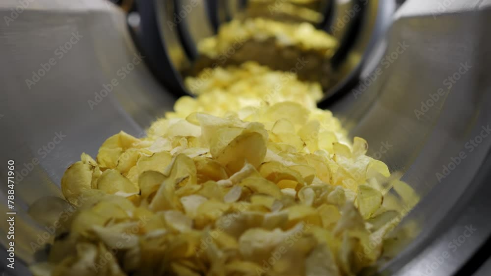 Fried potato chips moving through industrial processing drum in factory ...