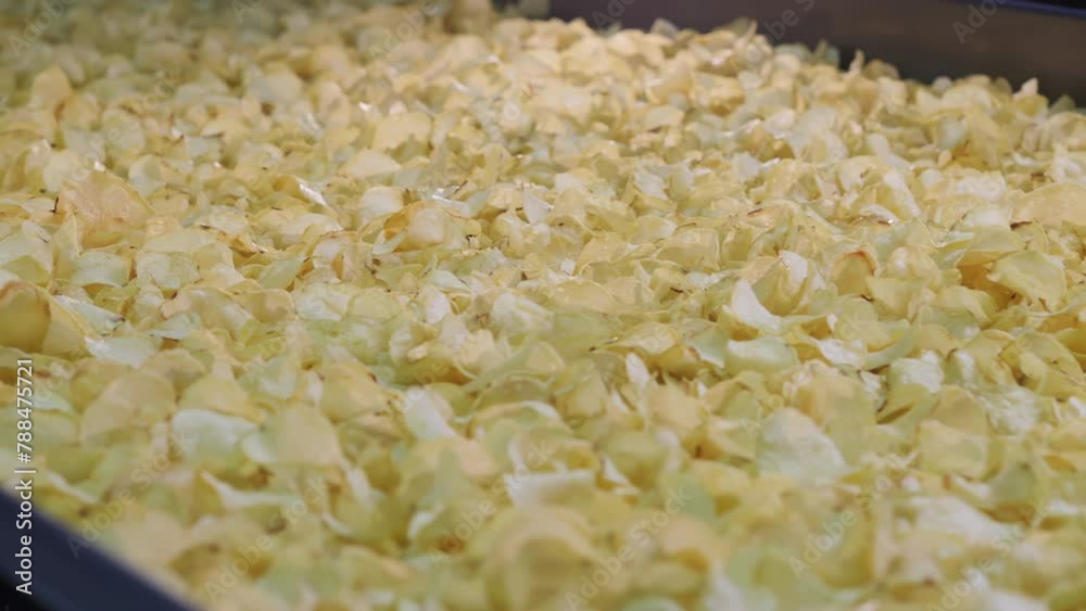 Potato chips moving on industrial conveyor during food production ...
