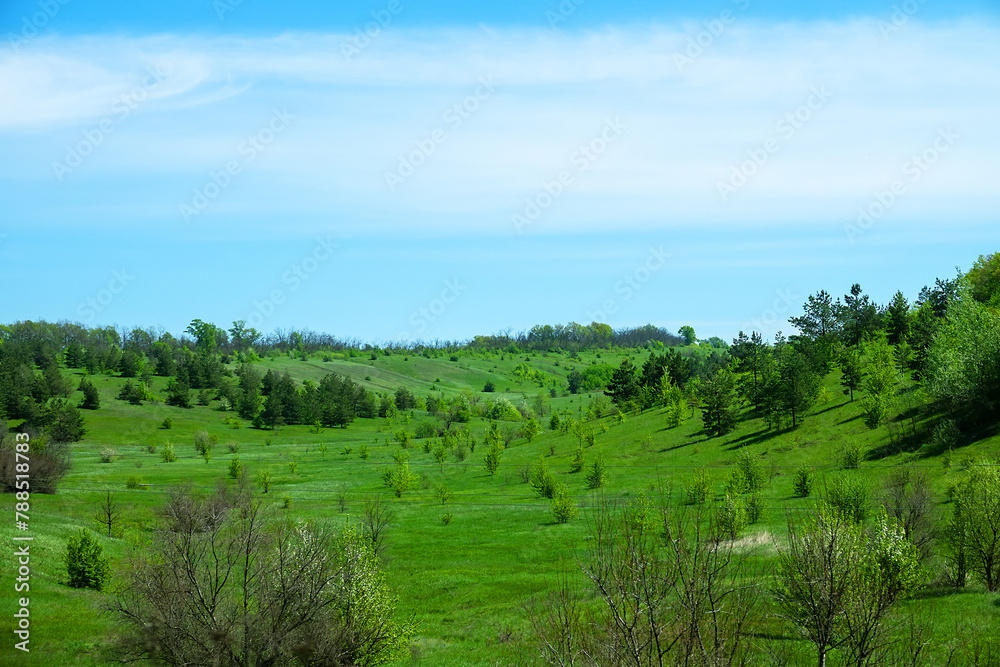 Yar (high bank) with hollow-concave bed in middle reaches of Don River ...