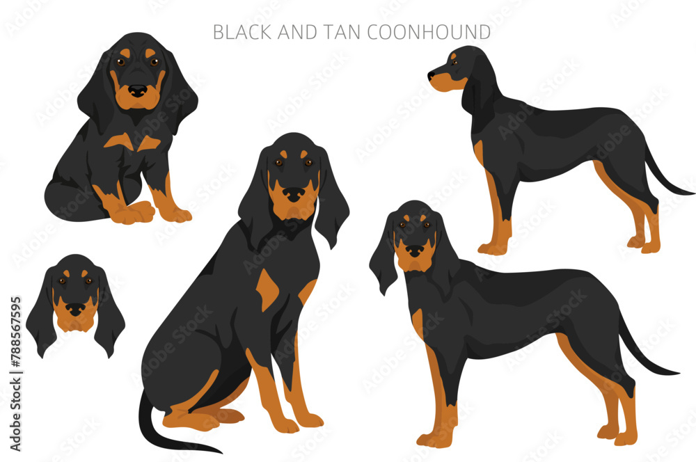 Black and tan coonhound clipart. Different coat colors and poses set ...