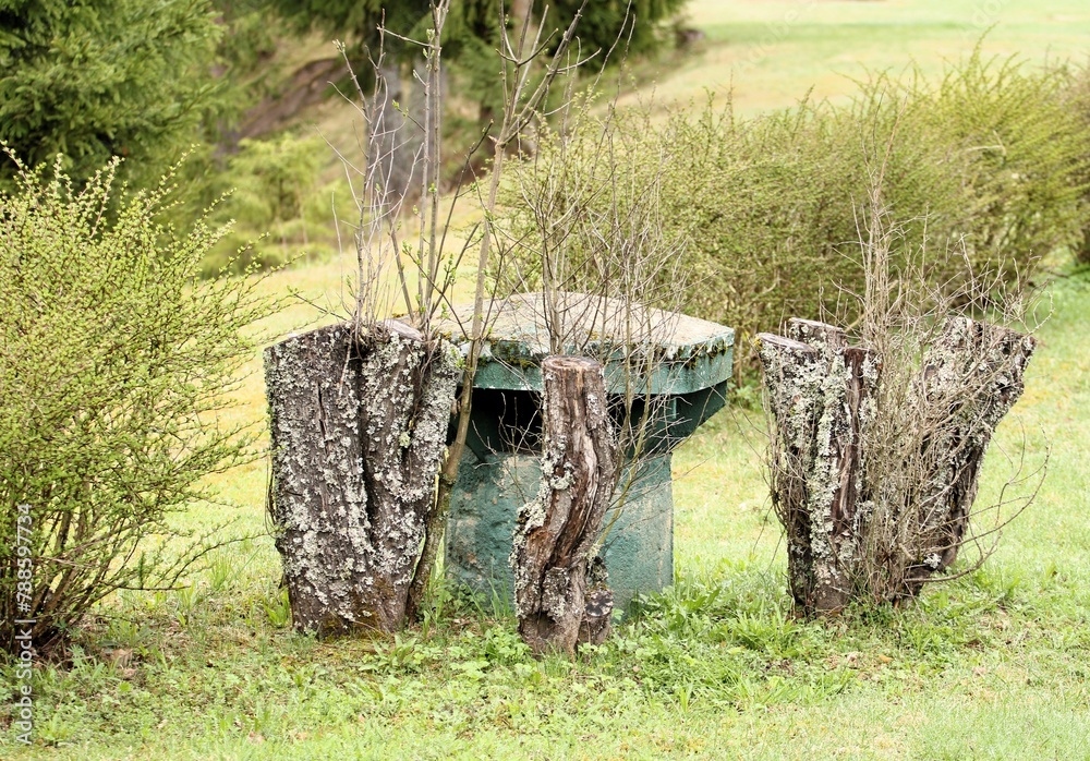 hidden behind pruned trees is a green ventilation shaft for an ...