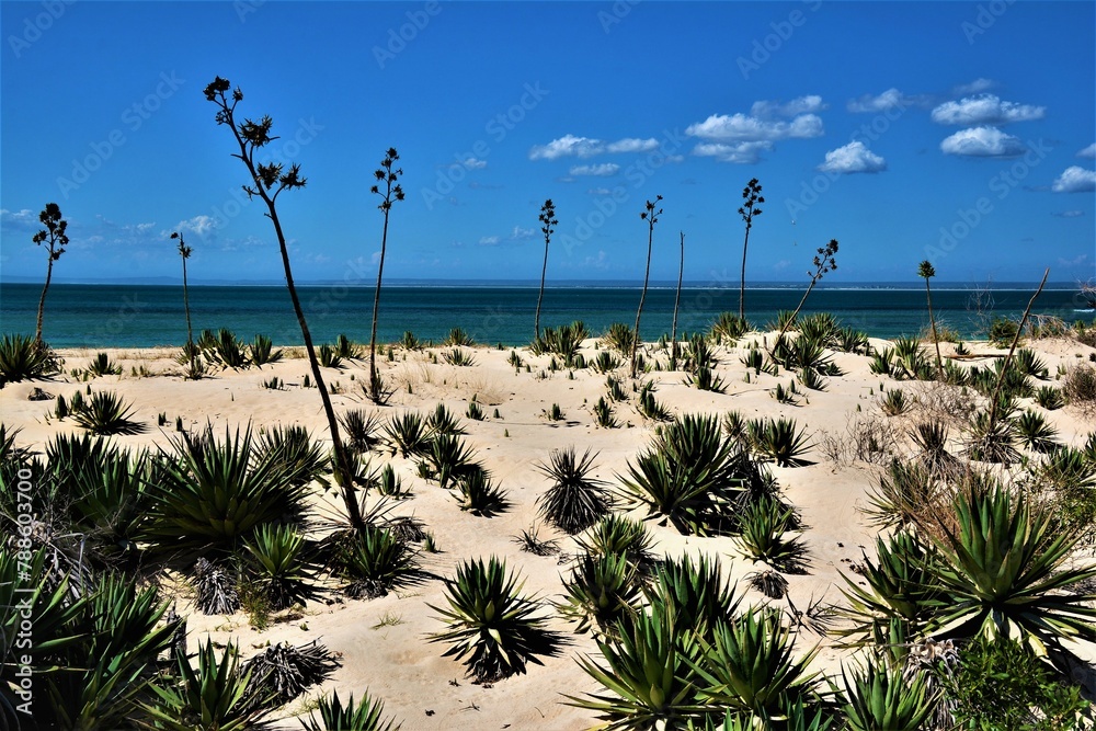 Beautiful scenery as seen on the seashore of Nosy Ve Island (Nosy Ve ...