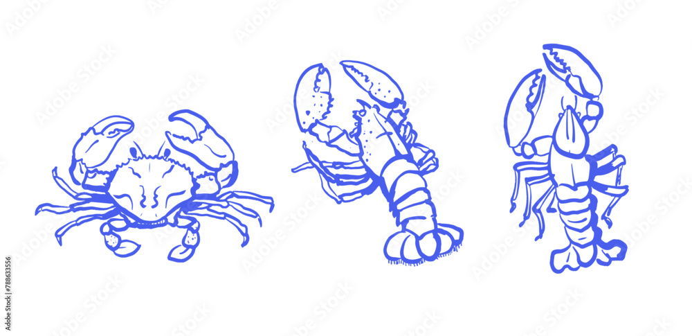 Seafood set with crab and lobster in blue outlines isolated on white ...