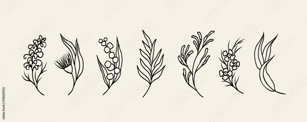 Hand drawn grevillea, gum nut, wattle, macrozamia, kangaroo paw ...