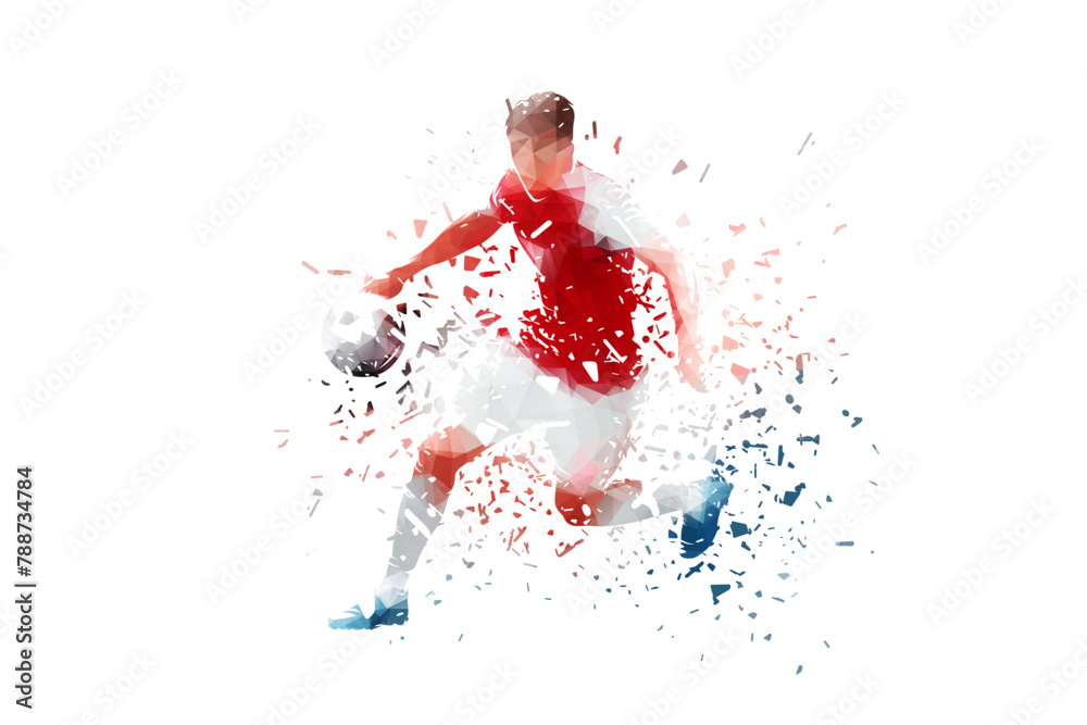 Soccer player, football, isolated low poly vector illustration with ...