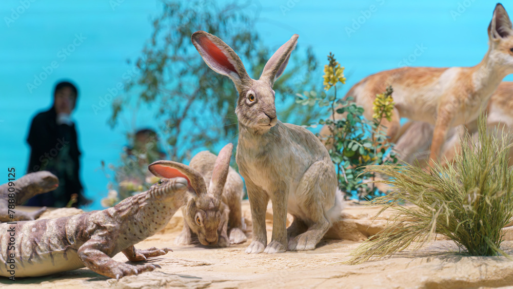 Doha, Qatar - Jan 06 2024, a close up view of stuffed animals, hares ...