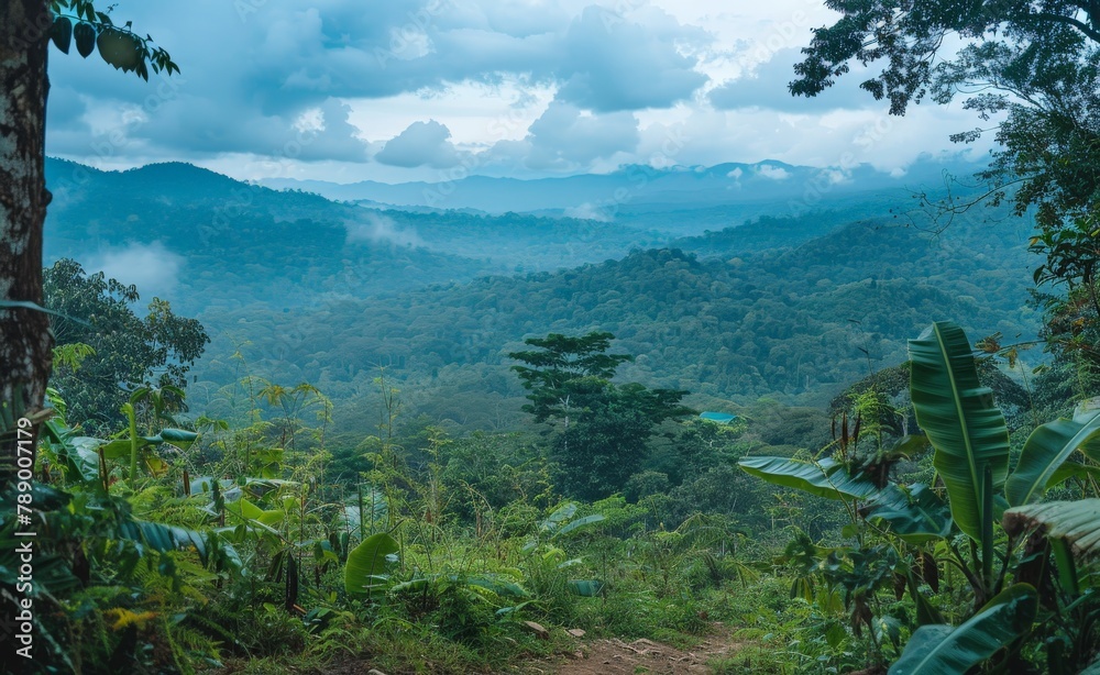 Conservation area designated to protect endangered species and their ...