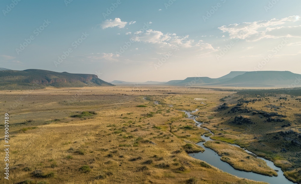 Conservation area designated to protect endangered species and their ...