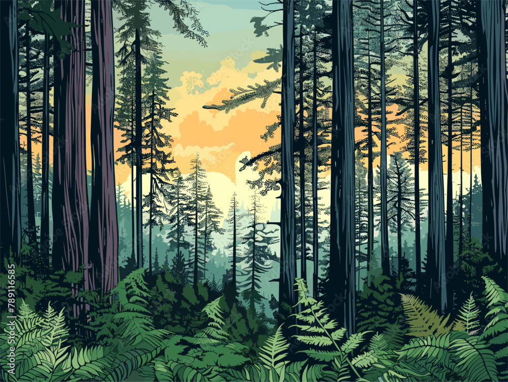 background, The Redwood National and State Parks in California, USA ...